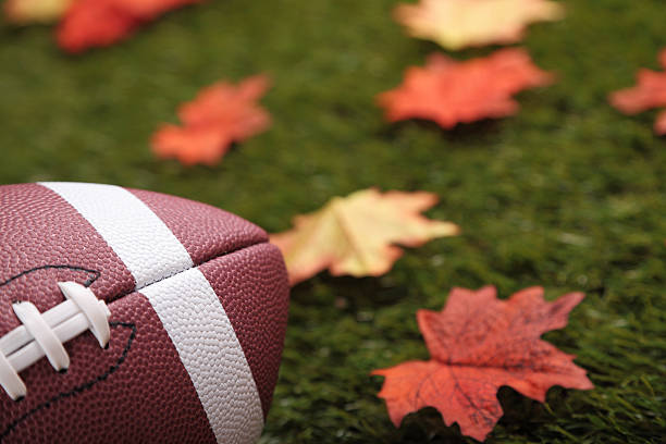 2025 Class AAAAAA State Football Preview | KRWC 1360 AM