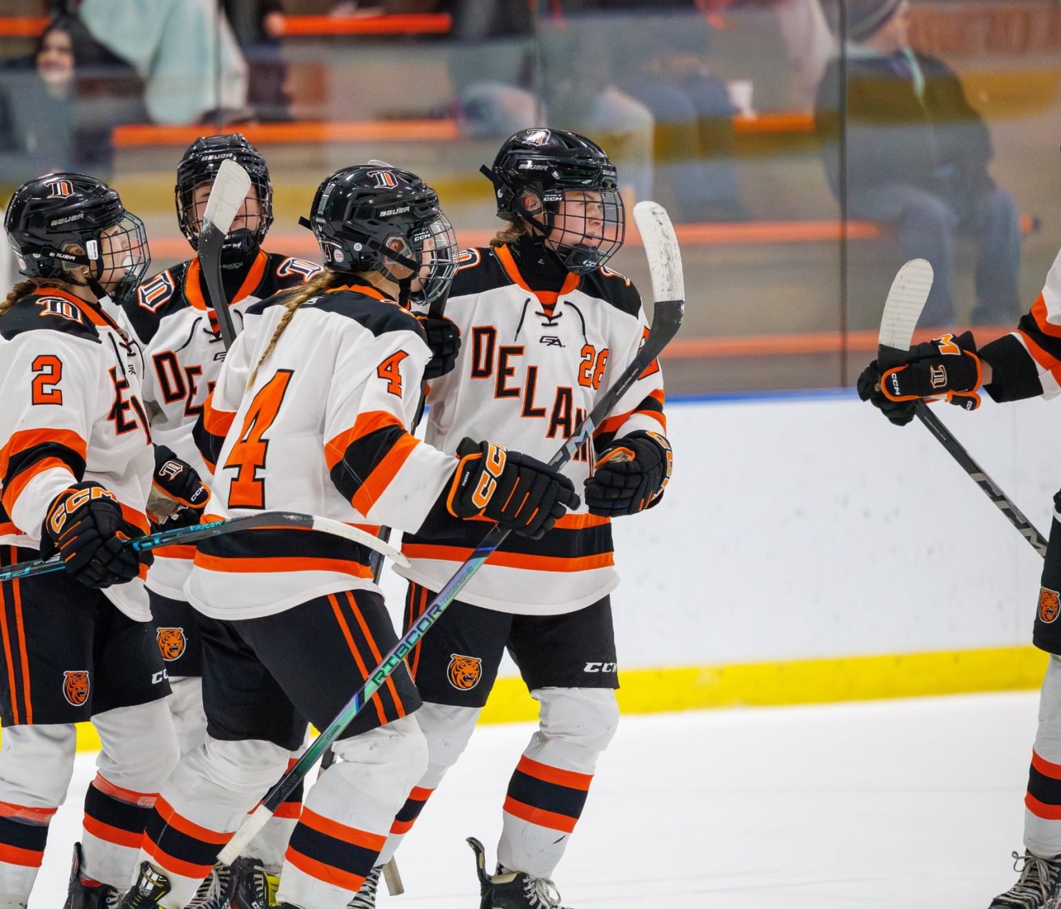 Wright County Area HS Scores for the Week of Friday, Jan. 16th-Sat. Jan ...